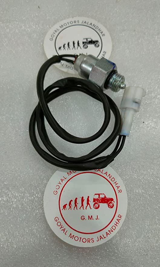 Goyal Motors Jalandhar